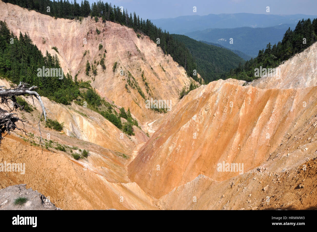 Deep ravine, erosion landscape Stock Photo - Alamy