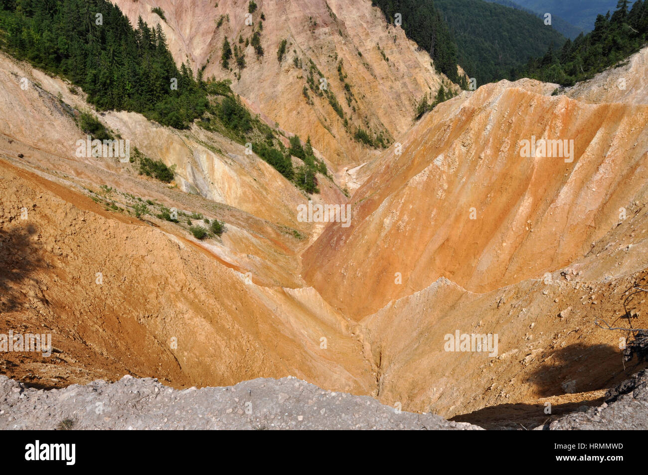 Deep ravine, erosion landscape Stock Photo - Alamy