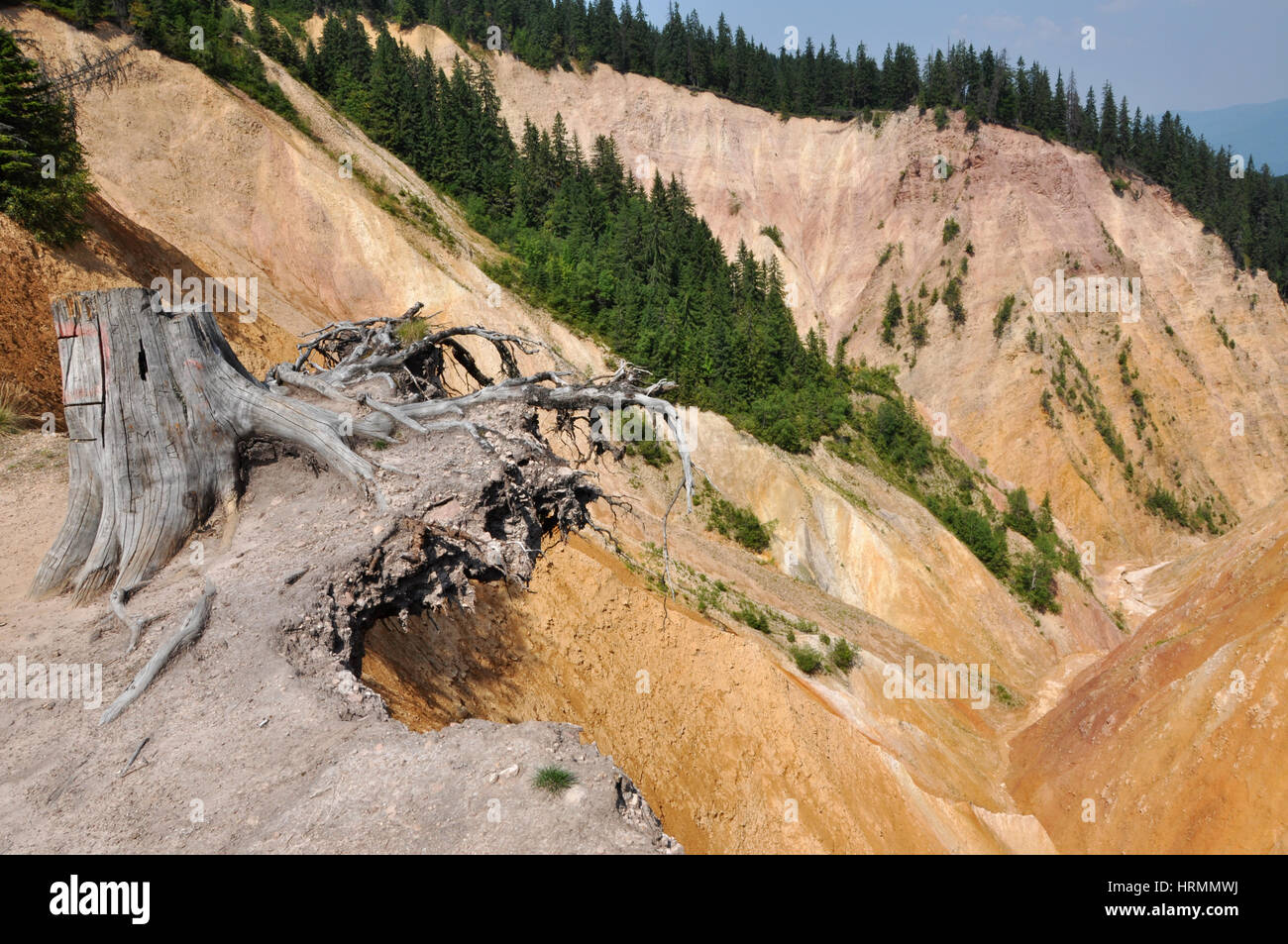 Deep ravine, erosion landscape Stock Photo - Alamy
