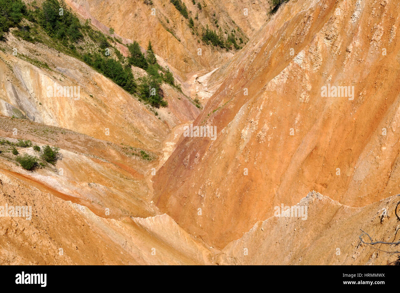 Deep ravine, erosion landscape Stock Photo - Alamy