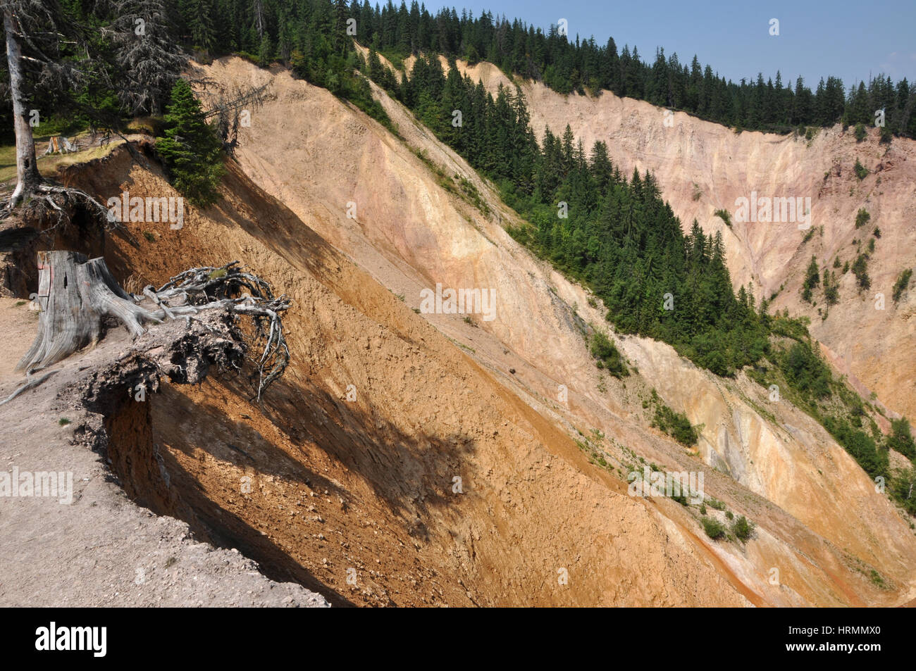 Deep ravine, erosion landscape Stock Photo - Alamy