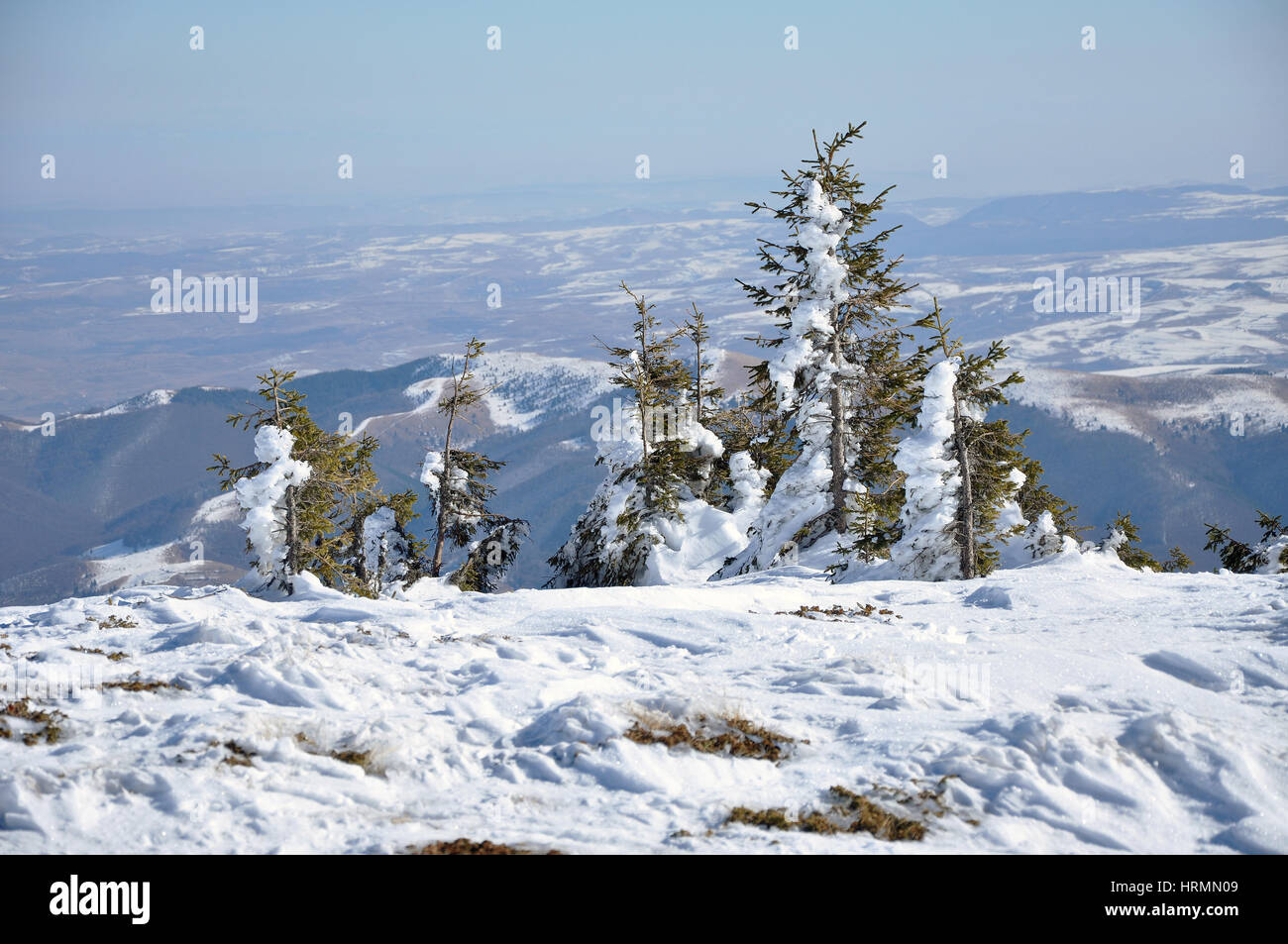 Beautiful winter landscape with snow covered trees Stock Photo - Alamy