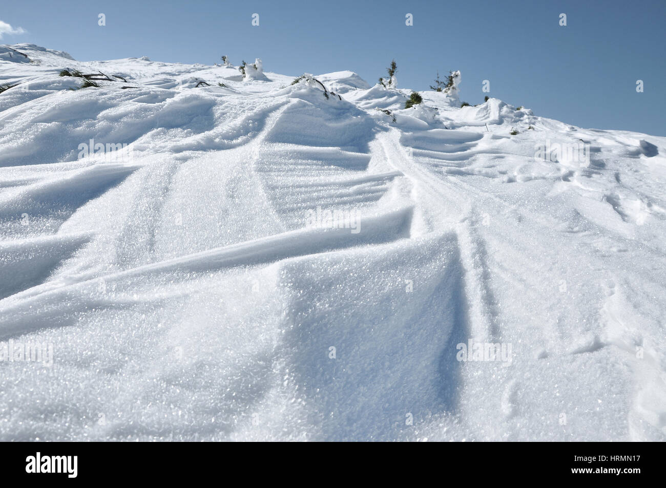 New snow fall, snow ground Stock Photo - Alamy