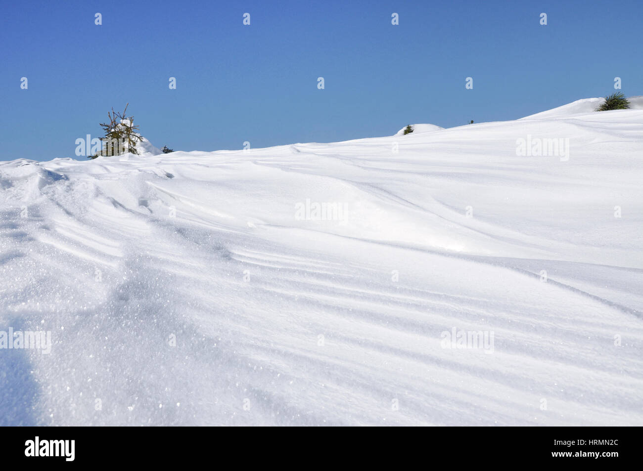 Fresh powder snow Stock Photo - Alamy