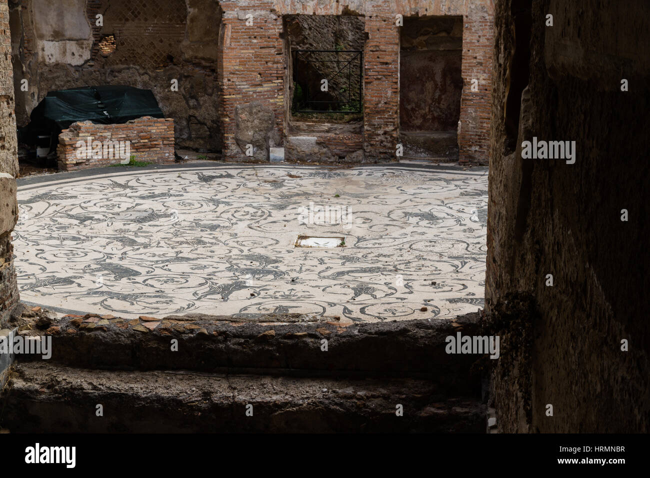 Mosaic floor tile ancient rome hi-res stock photography and images - Alamy