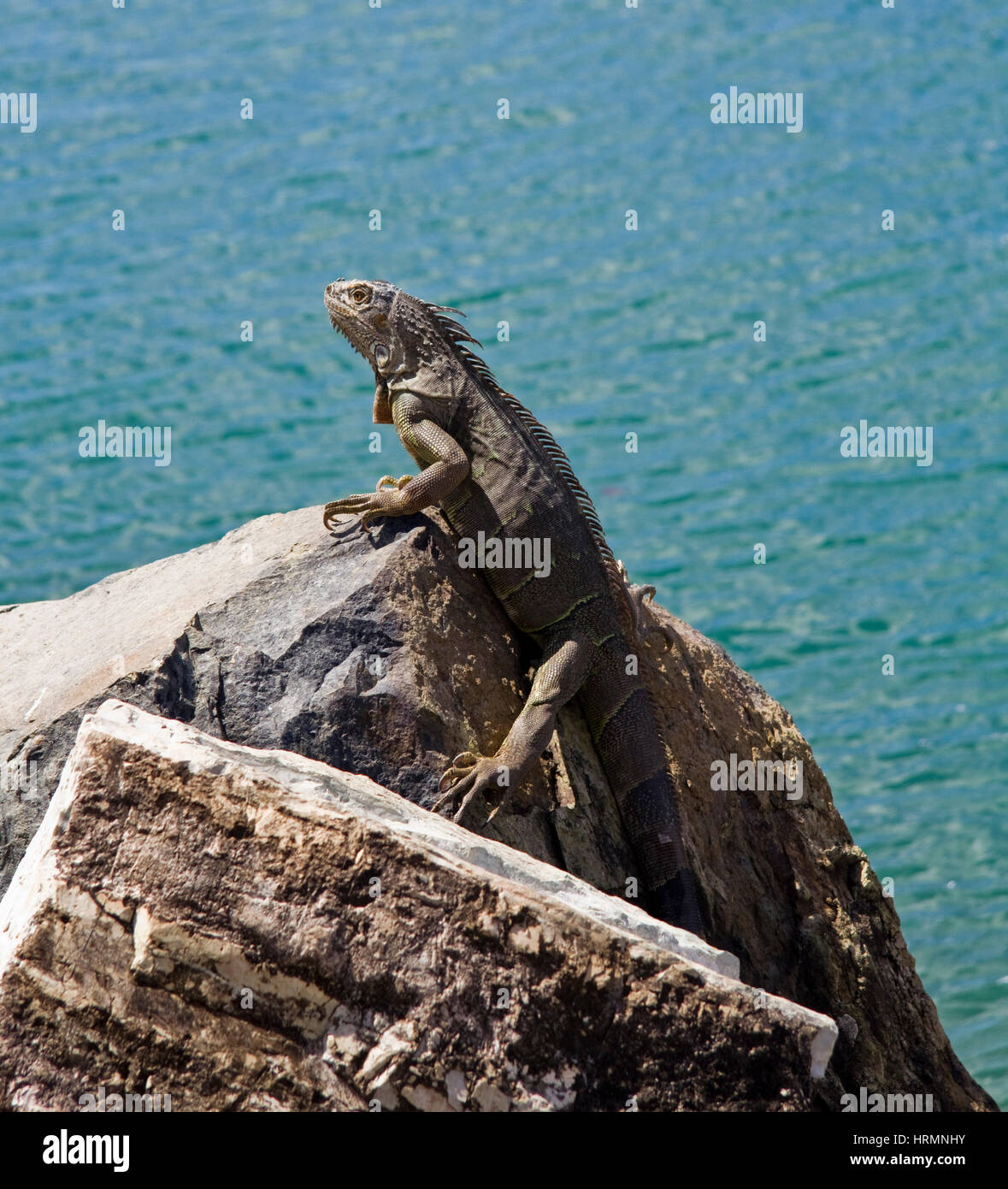 Marigot, St Maarten, Caribbean Stock Photo - Alamy