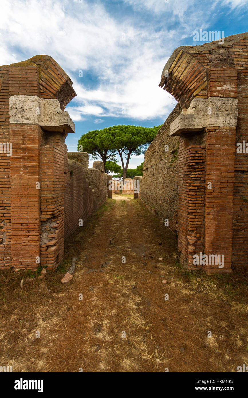 Flagged path through Ostia Antica, roman city. With Stone pine or Pinus ...