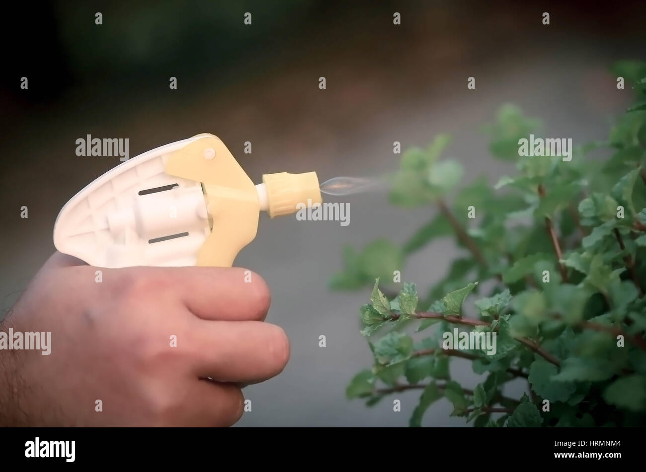 Insecticide spray gun hi-res stock photography and images - Alamy