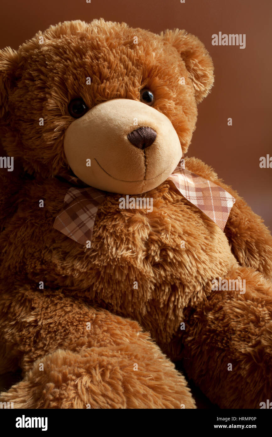 forgotten alone teddy bear portrait Stock Photo - Alamy