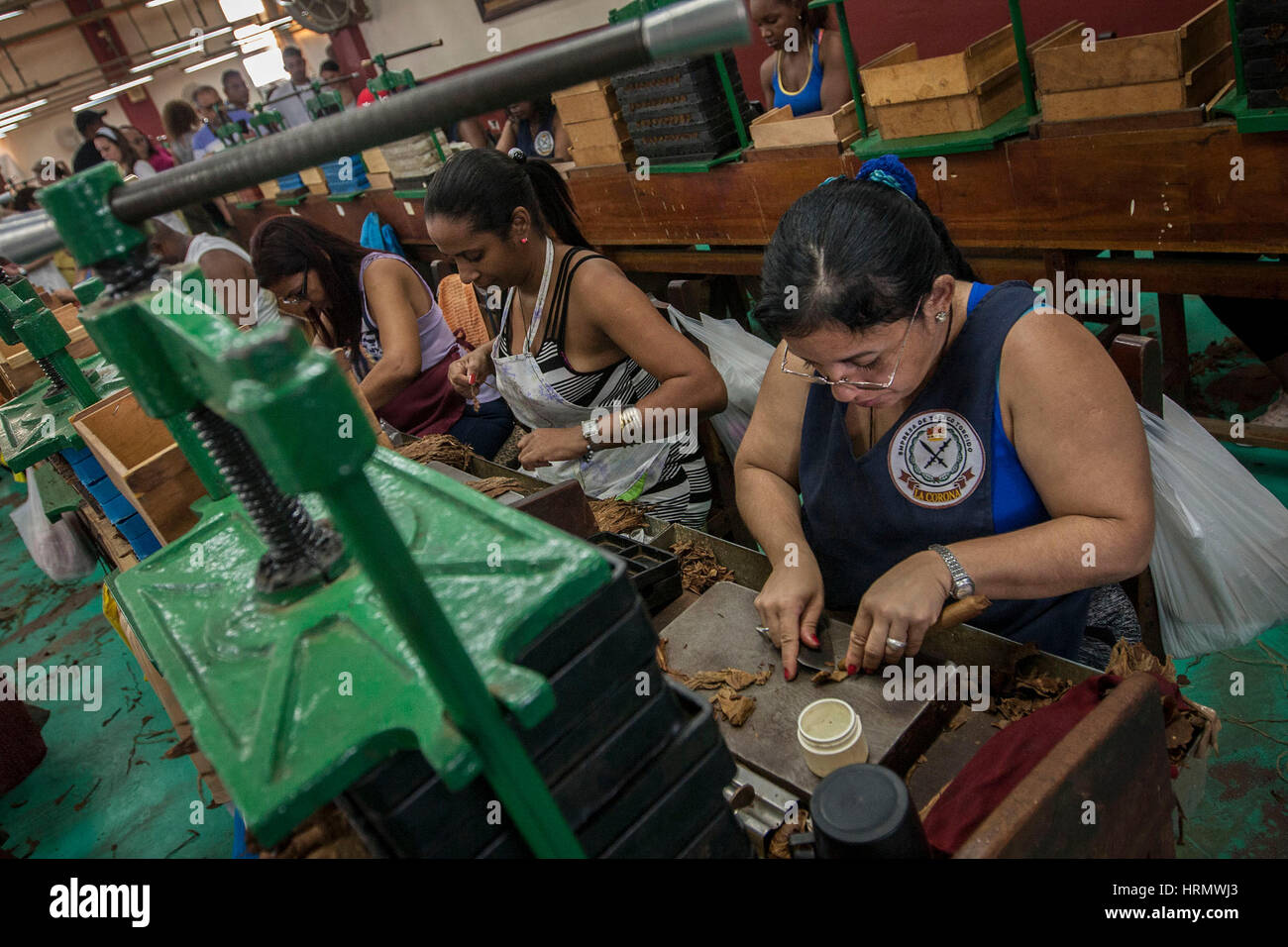 Havana, Cuba. 2nd Mar, 2017. Women work in the tobacco factory "La ...