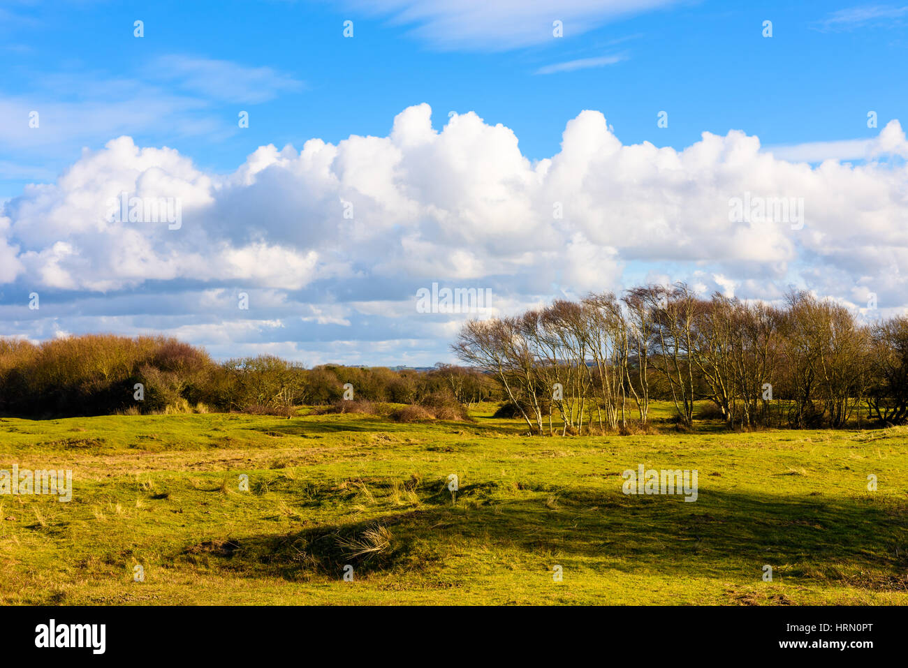 Braunton burrows winter hi-res stock photography and images - Alamy
