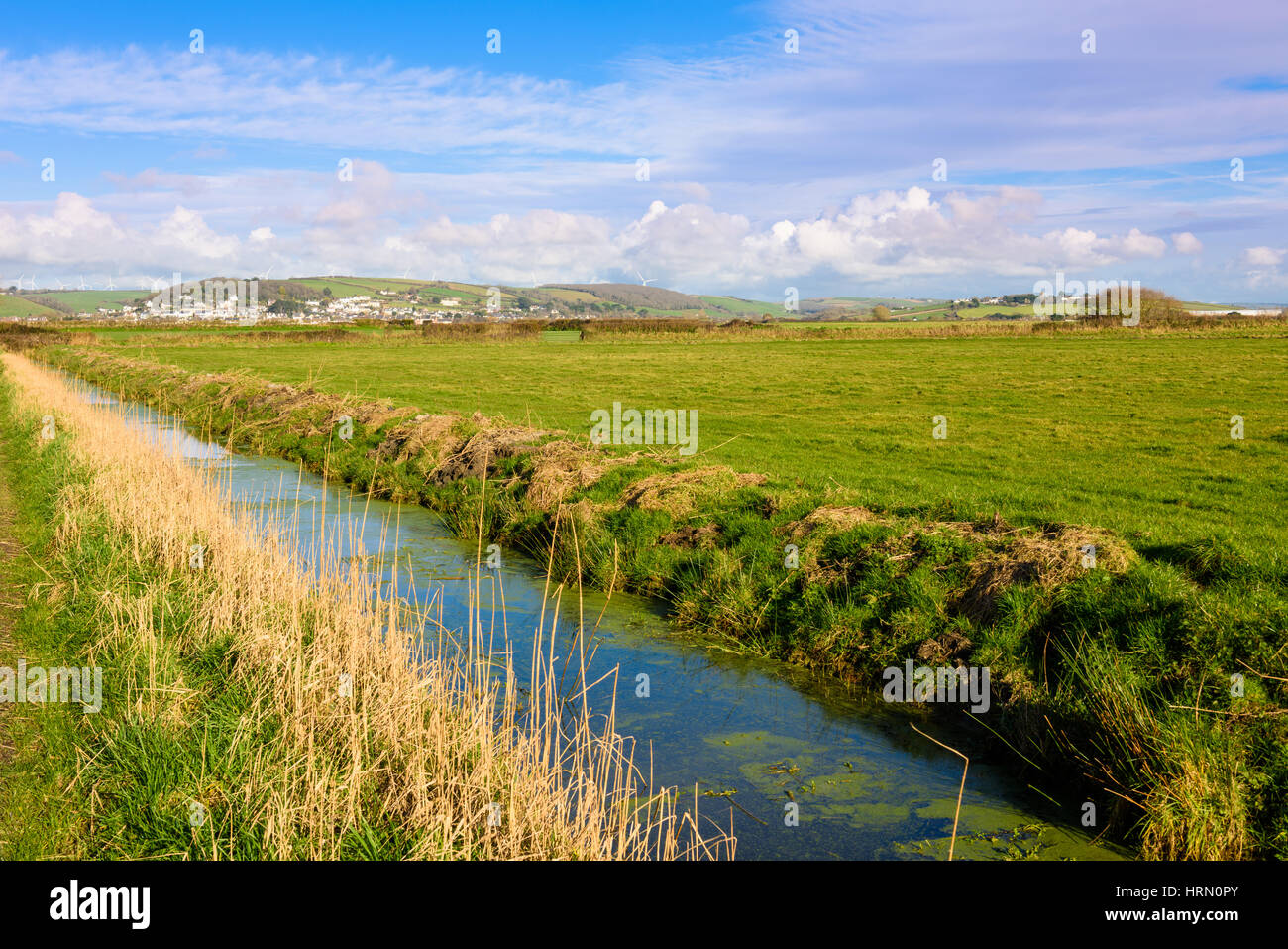 A drainage ditch in farmland at Braunton Marsh, North Devon, England ...