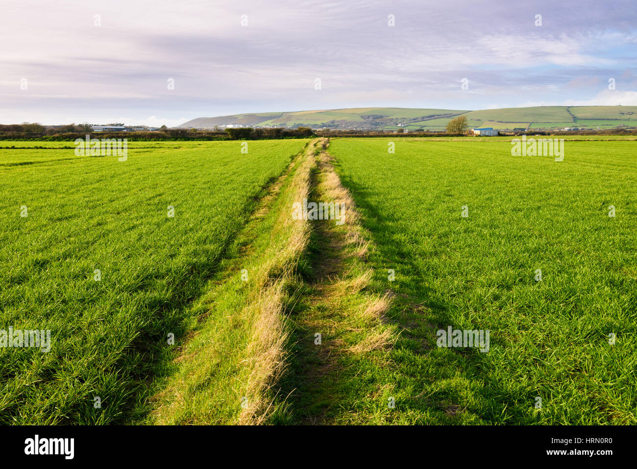 Great field hi-res stock photography and images - Alamy