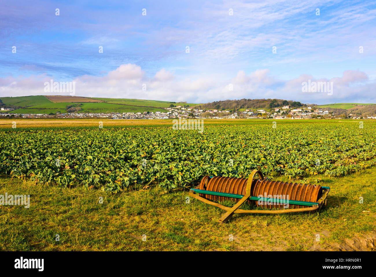 Devon rural hi-res stock photography and images - Alamy