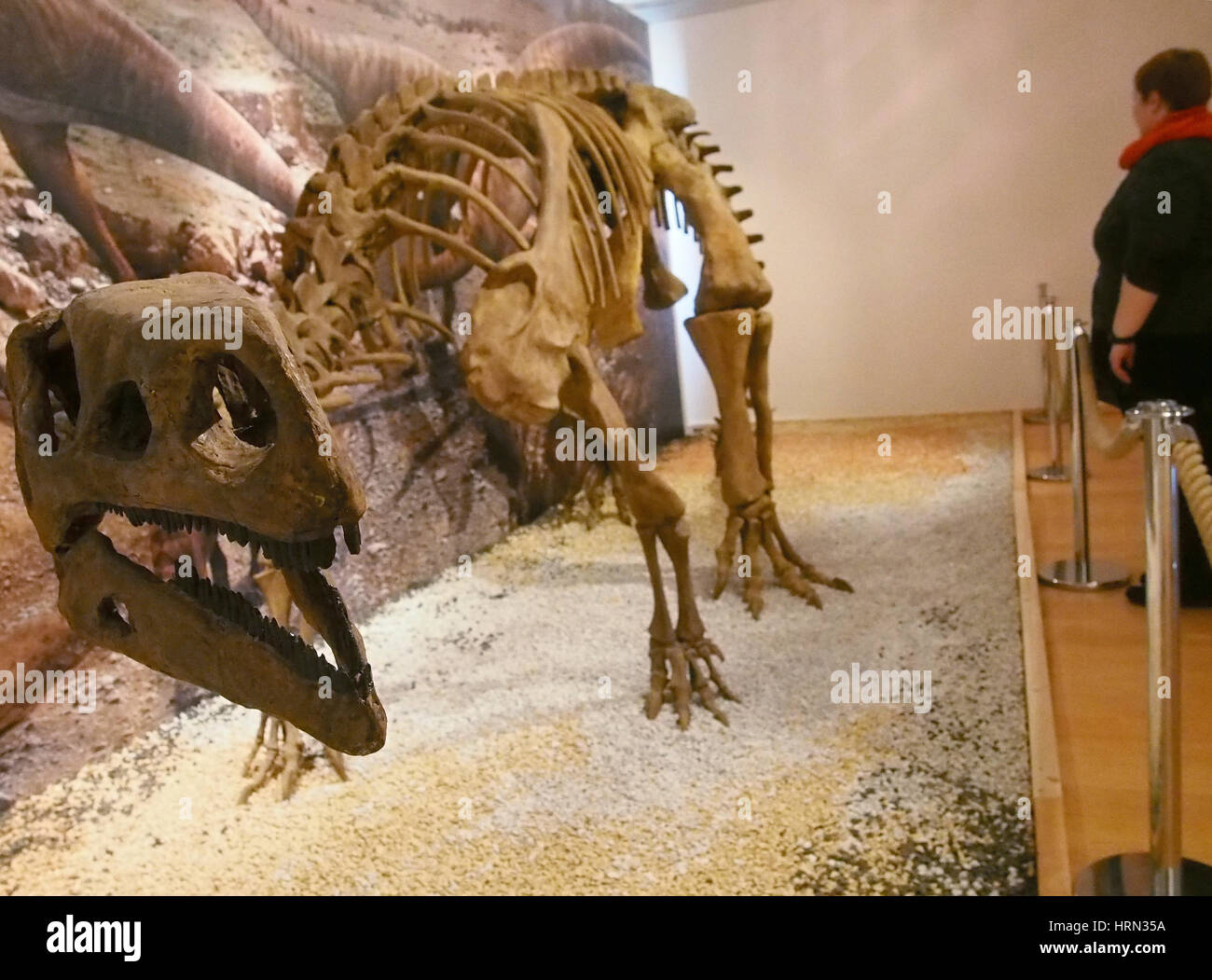 Braunschweig, Germany. 3rd Mar, 2017. A woman looks at a life-sized ...