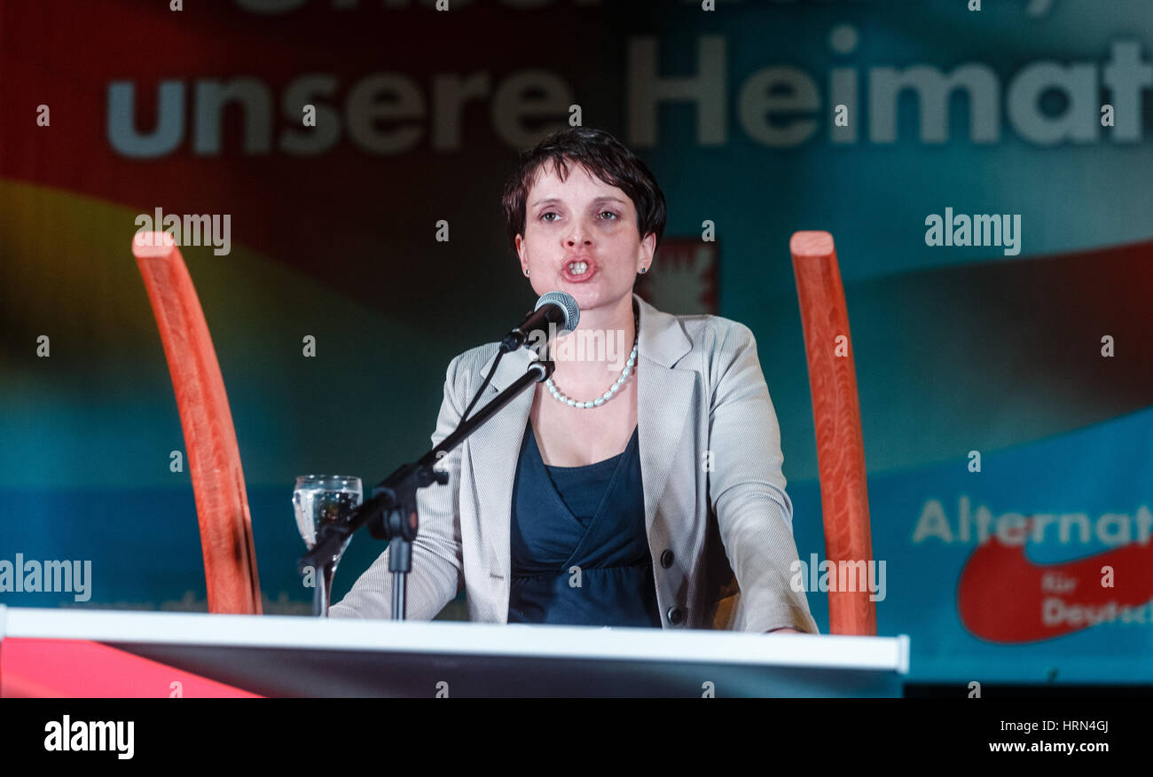 Aukrug, Germany. 3rd Mar, 2017. National chairwoman of the AfD party ...