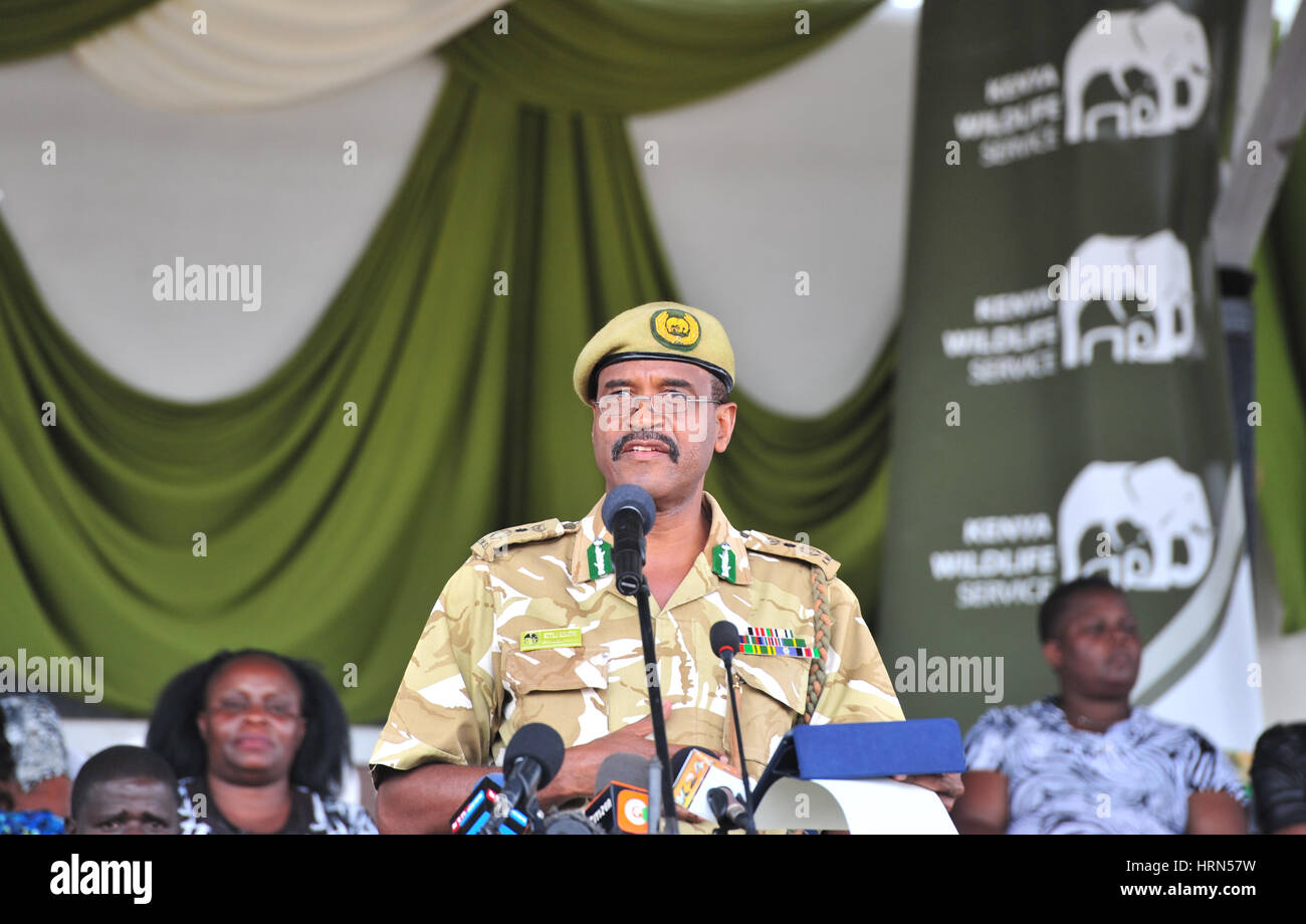 Wildlife role hi-res stock photography and images - Alamy