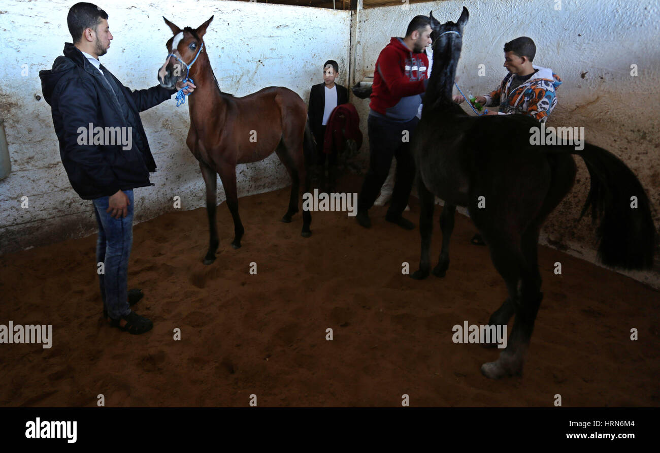 Gaza City, Gaza Strip, Palestinian Territory. 3rd Mar, 2017 ...
