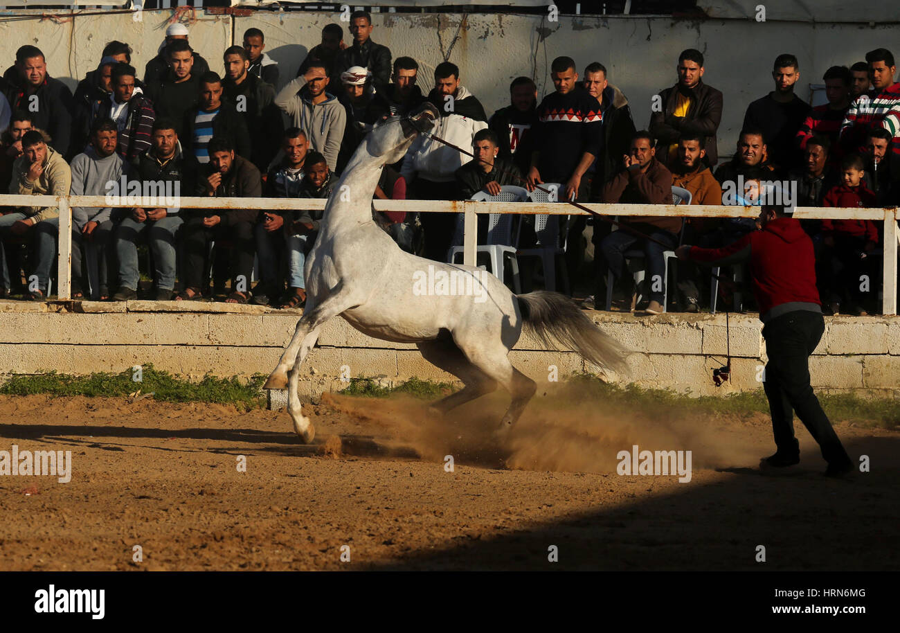 Gaza City, Gaza Strip, Palestinian Territory. 3rd Mar, 2017 ...