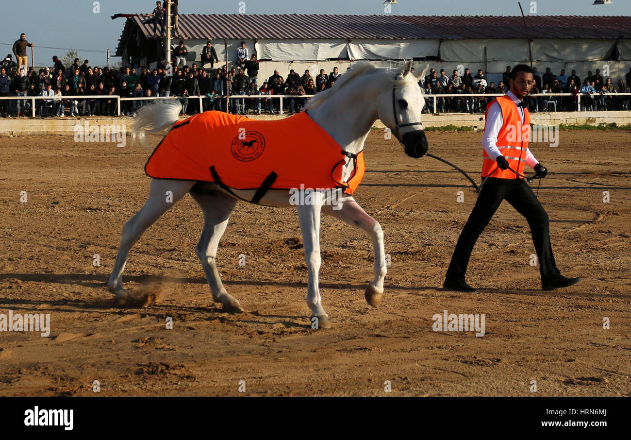 Gaza City, Gaza Strip, Palestinian Territory. 3rd Mar, 2017 ...
