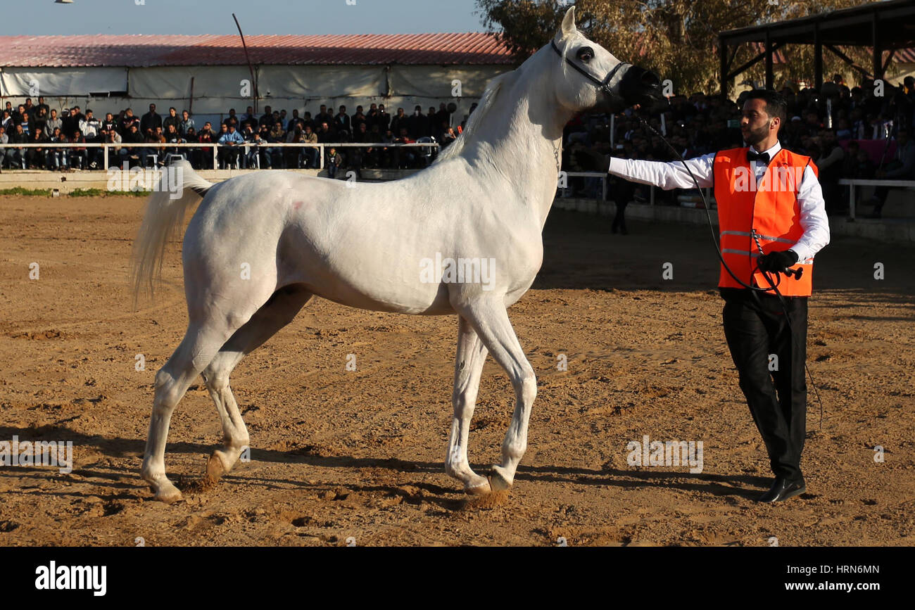 Gaza City, Gaza Strip, Palestinian Territory. 3rd Mar, 2017 ...