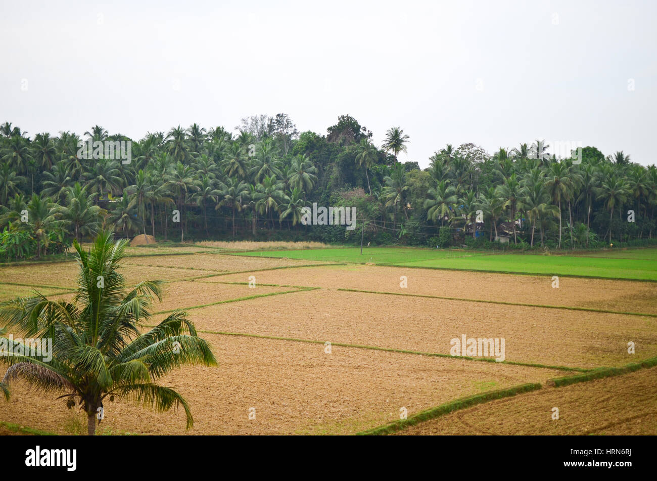 Beautiful landscape of rural India. Scene captured during travel by ...
