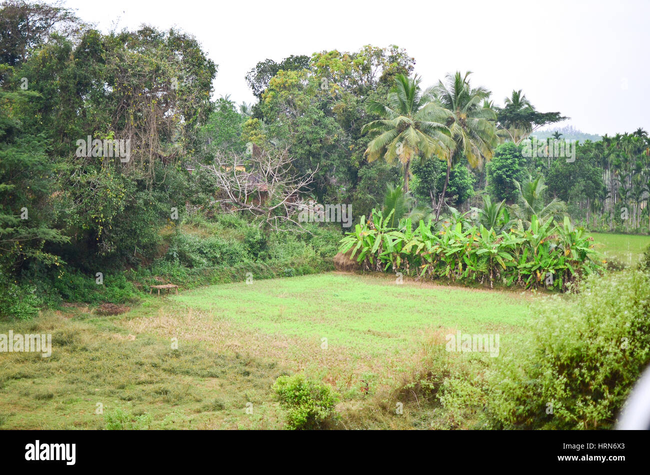 Beautiful landscape of rural India. Scene captured during travel by ...