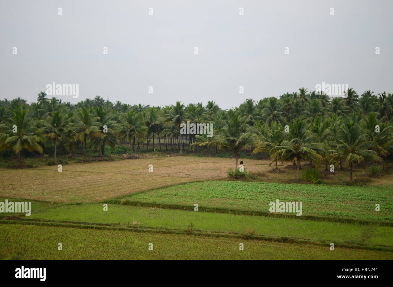 Beautiful landscape of rural India. Scene captured during travel by ...