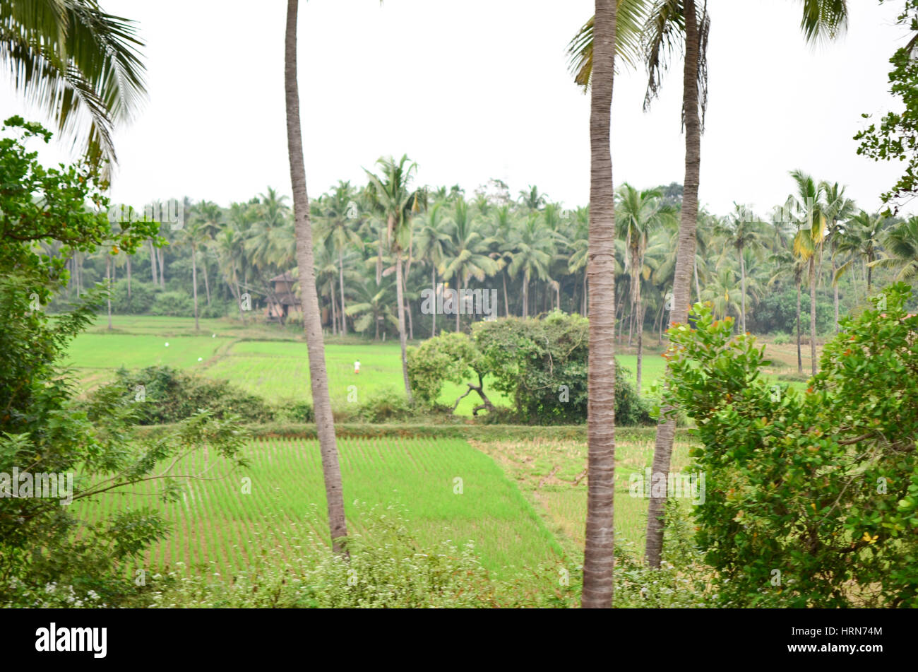 Farm House Land South India High Resolution Stock Photography and ...