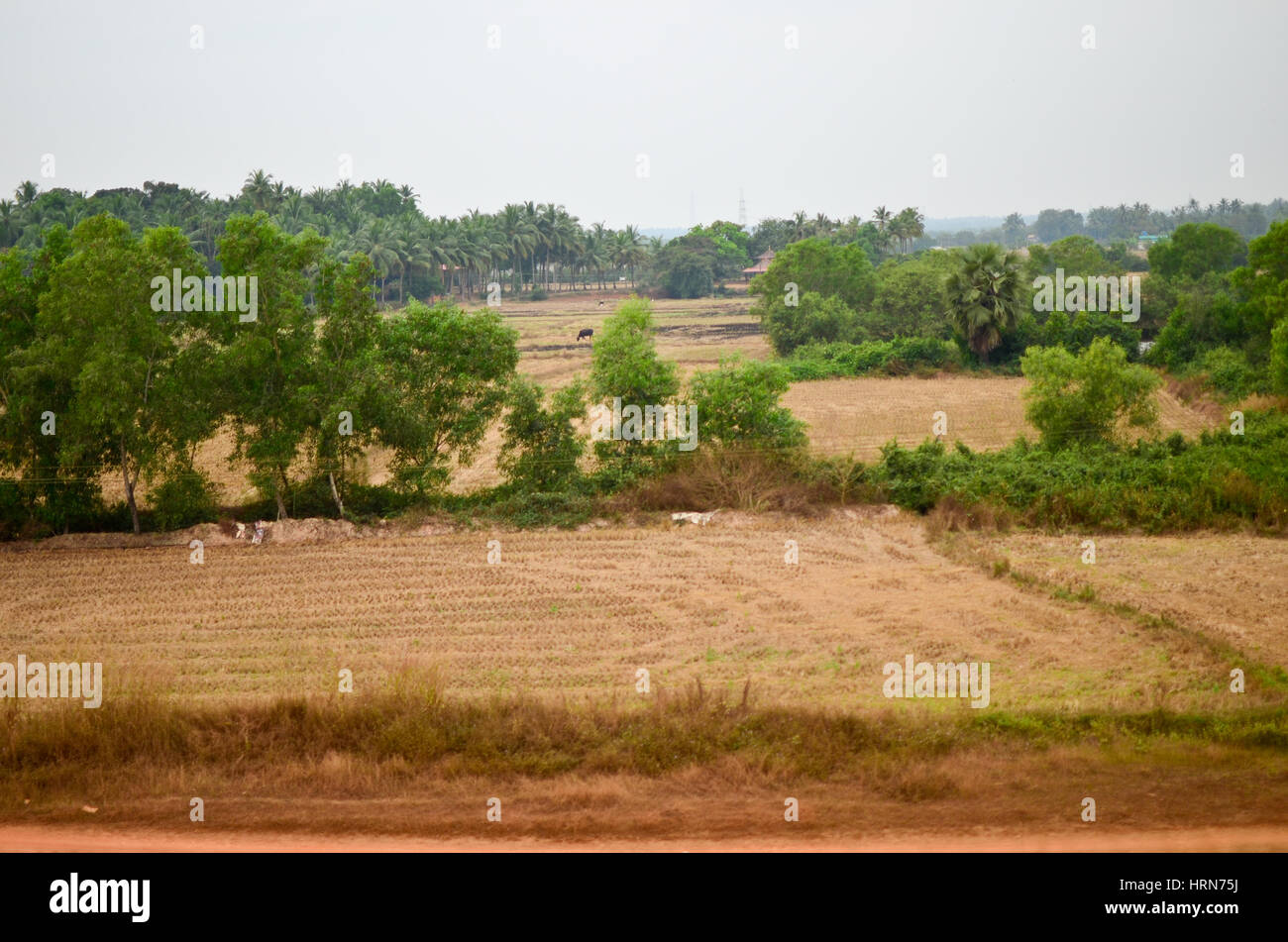 Beautiful landscape of rural India. Scene captured during travel by ...