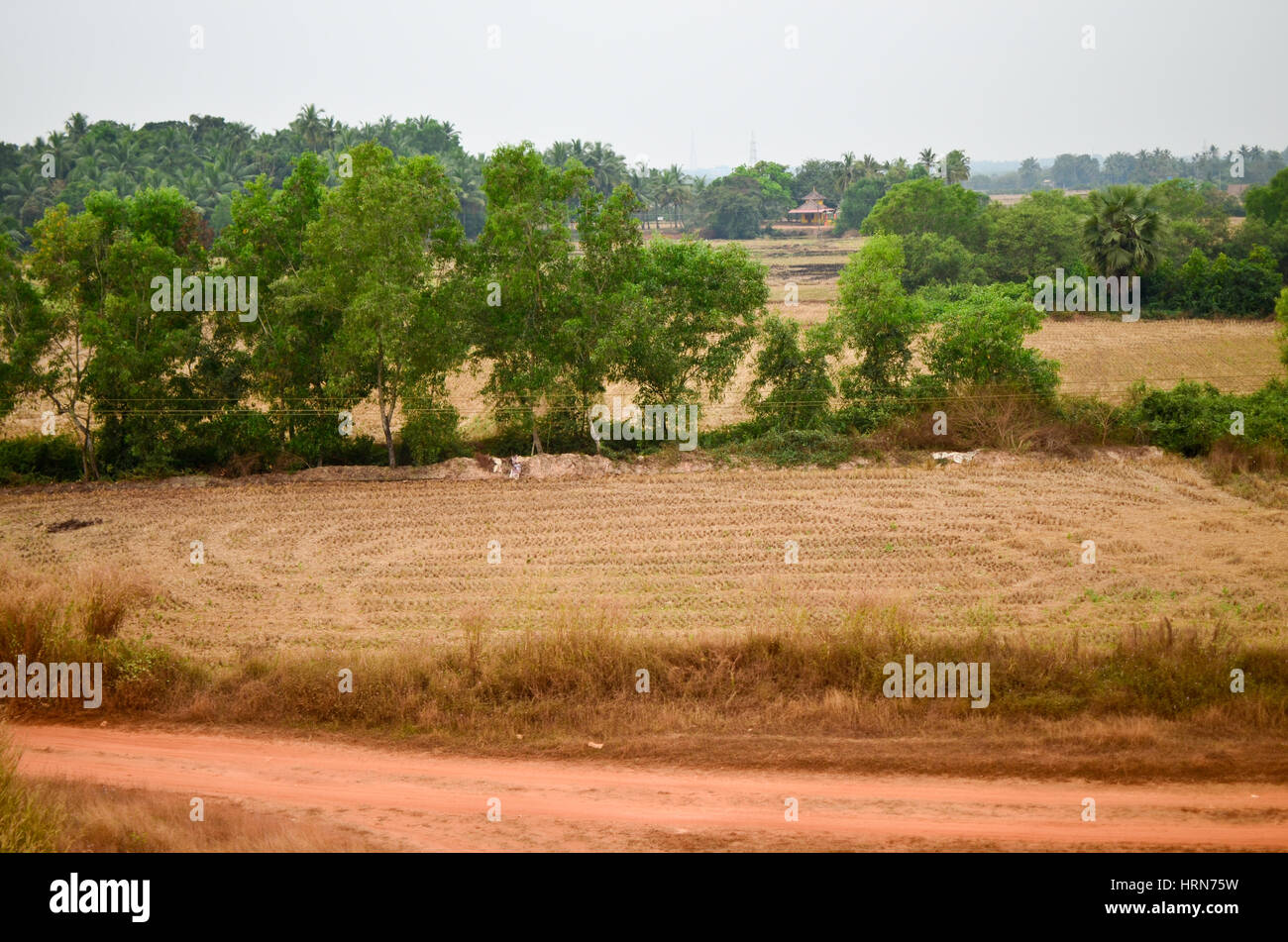Beautiful landscape of rural India. Scene captured during travel by ...