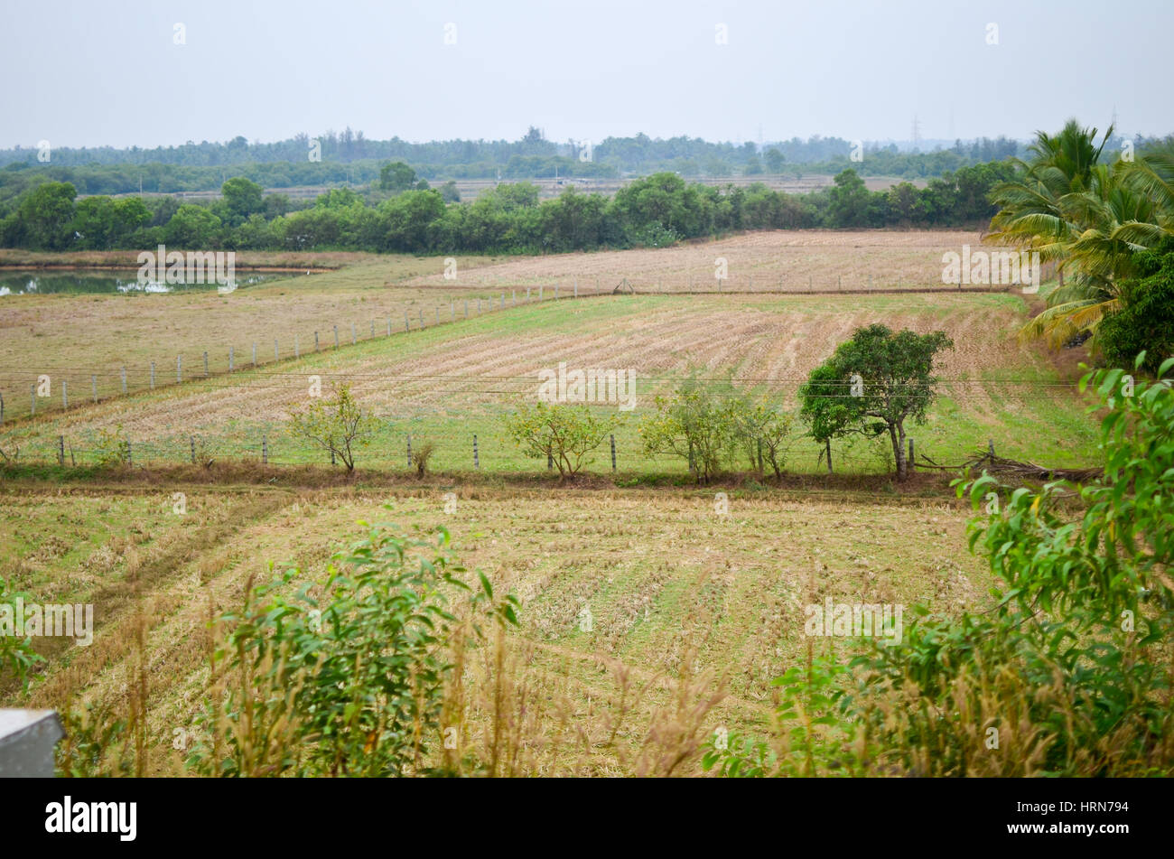 Beautiful landscape of rural India. Scene captured during travel by ...
