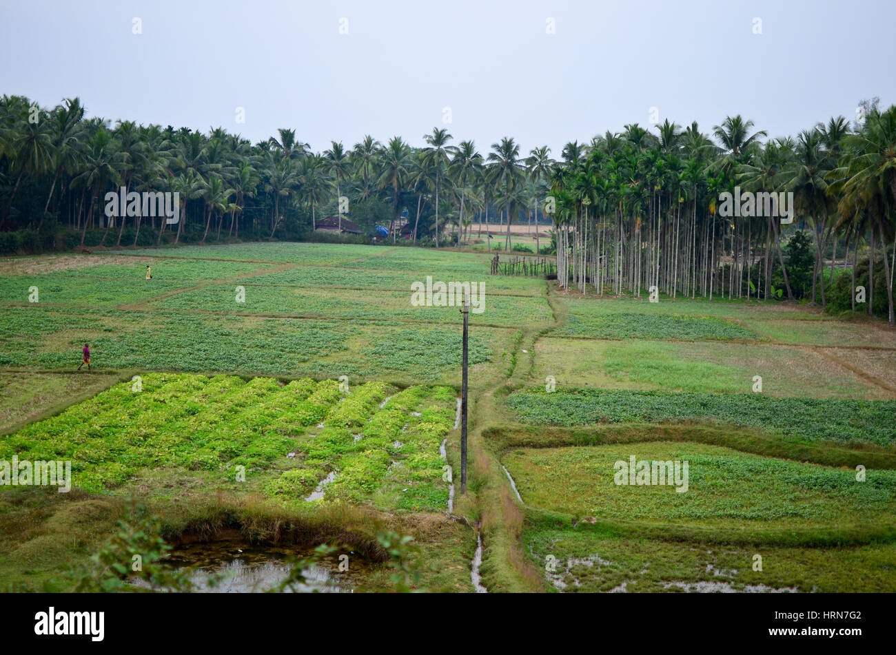 Beautiful landscape of rural India. Scene captured during travel by ...