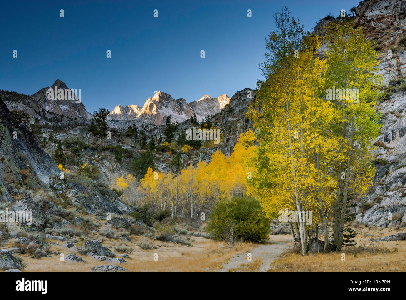 Picture Peak and aspens in fall foliage in Lake Sabrina Basin in ...