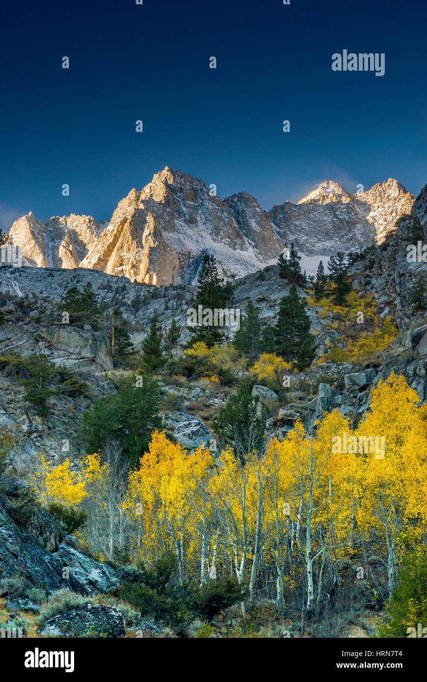 Picture Peak and aspens in fall foliage in Lake Sabrina Basin in ...