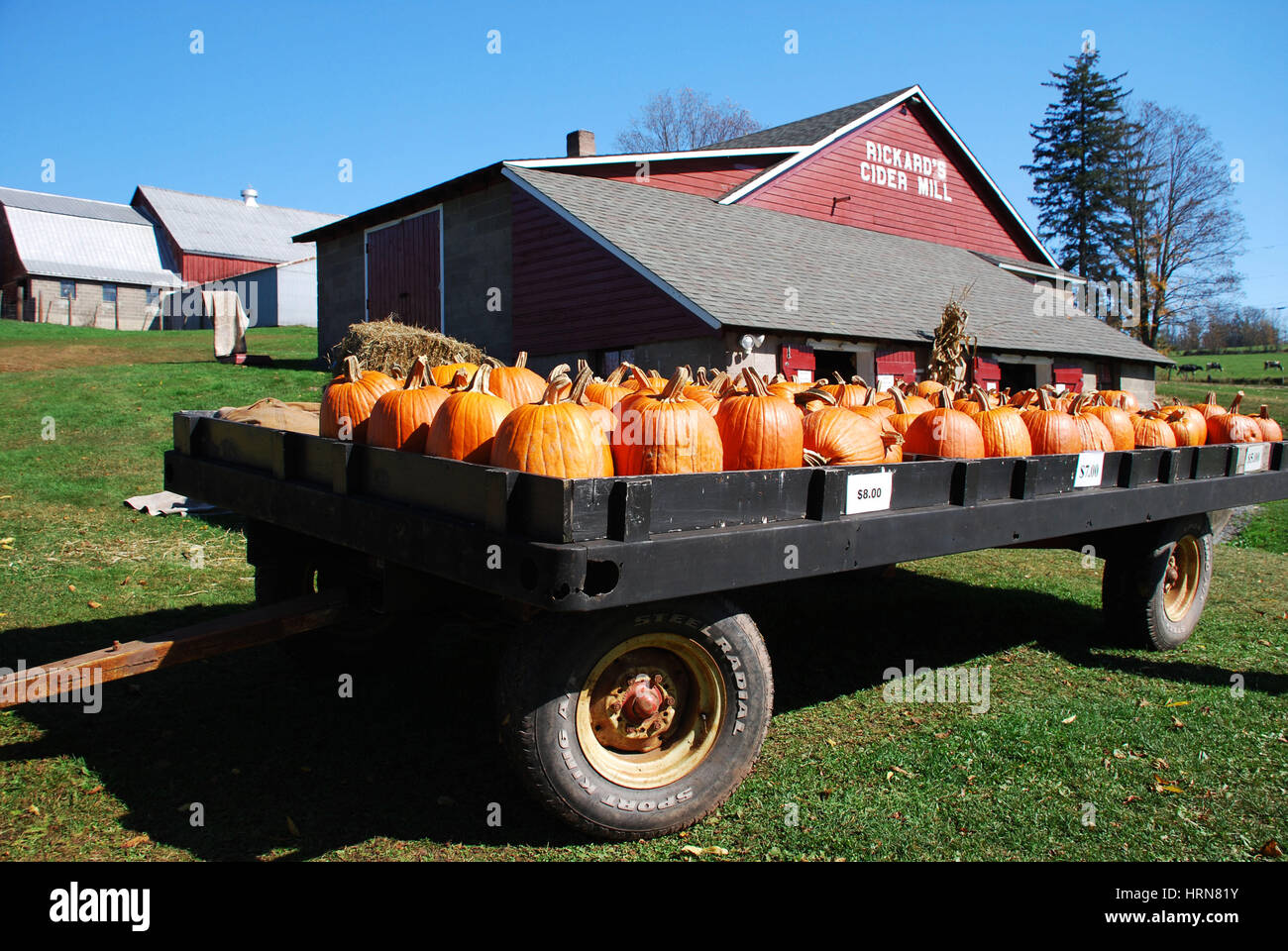 A wagon full of pumpkins, Hawley, PA Stock Photo - Alamy