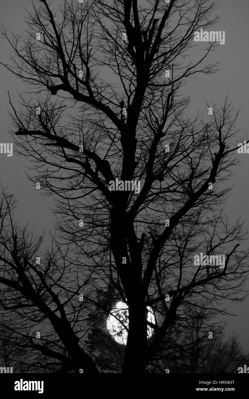 Setting process hi-res stock photography and images - Alamy