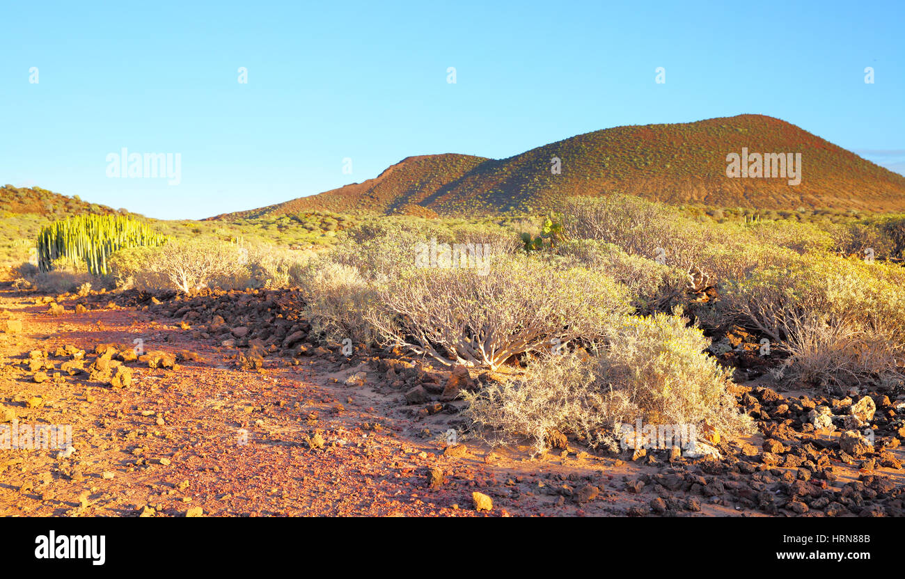 Tenerife desert hi-res stock photography and images - Alamy