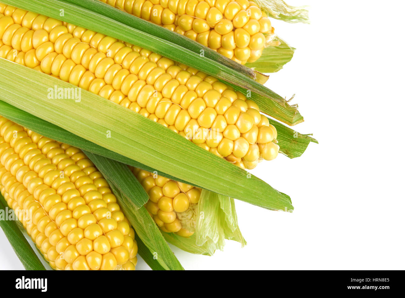 Sweet corn isolated on a white background Stock Photo - Alamy