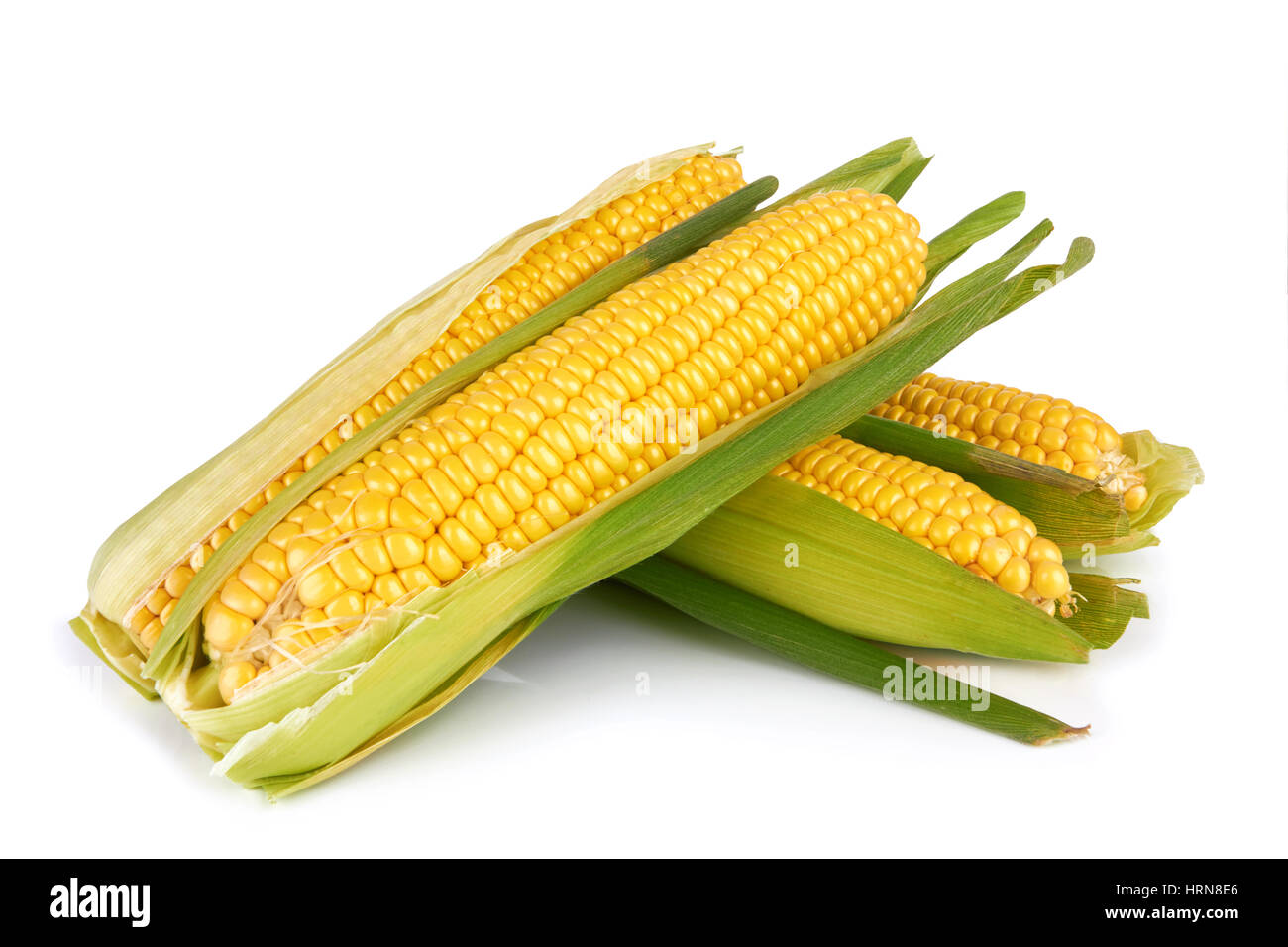 Sweet corn isolated on a white background Stock Photo - Alamy