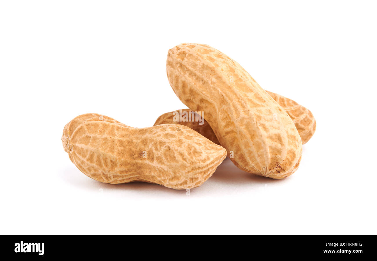Fresh peanuts with shells isolated on white background Stock Photo - Alamy