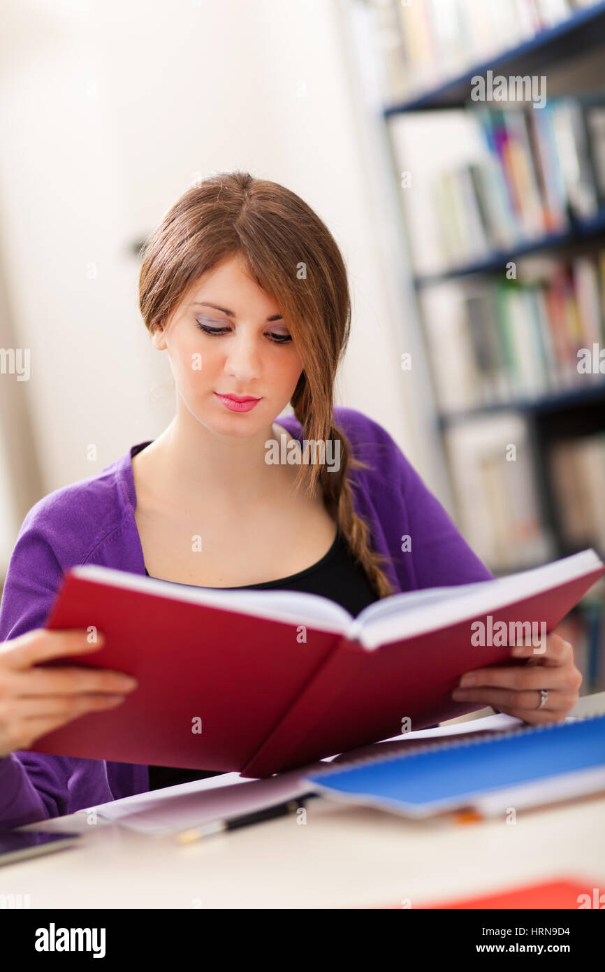 Group of Students at work in a Library Stock Photo - Alamy