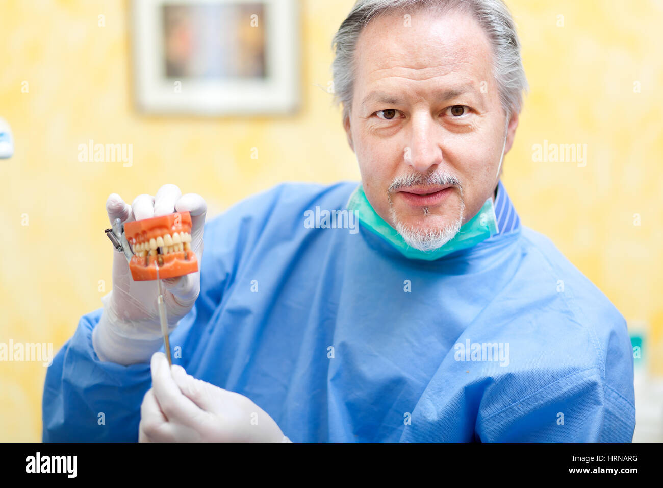 Dentist showing a denture Stock Photo - Alamy