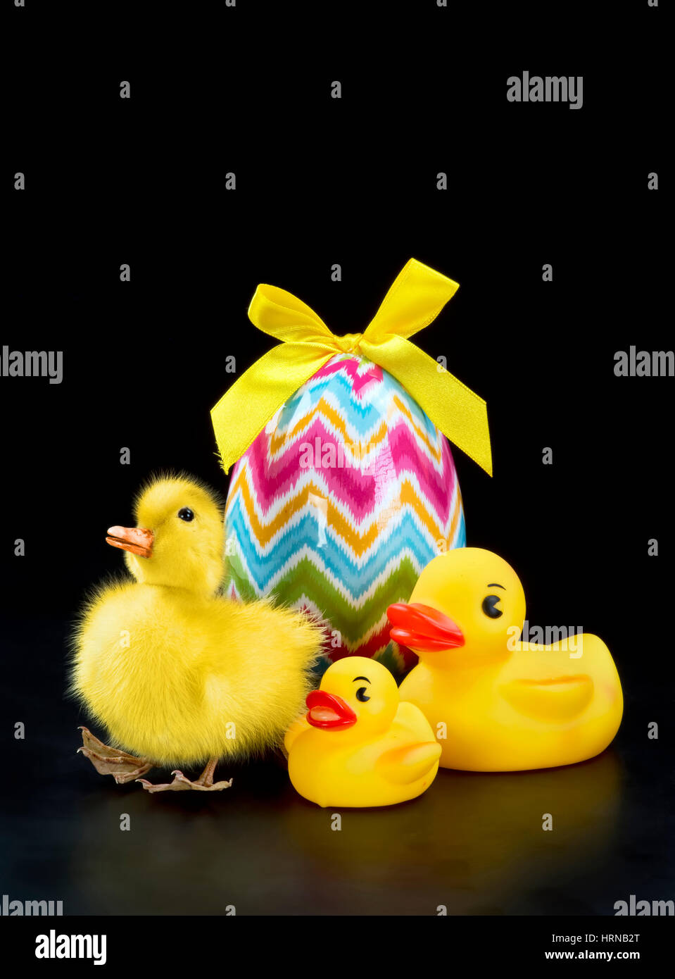 Cute little Easter duck and easter eggs with room for your type Stock ...