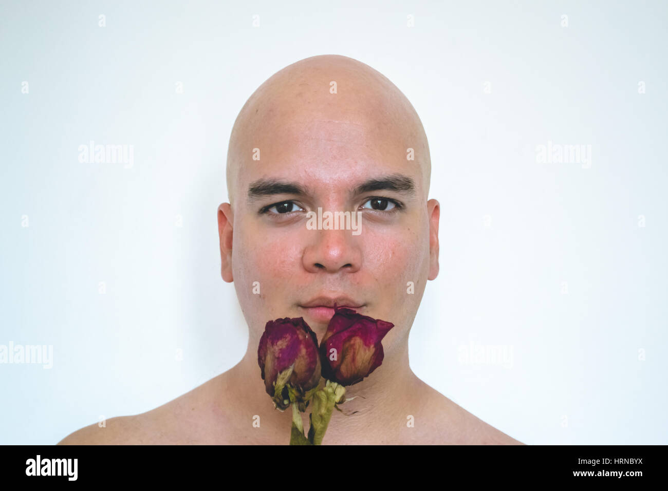 Closeup of a man smelling an old red rose isolated on a white ...