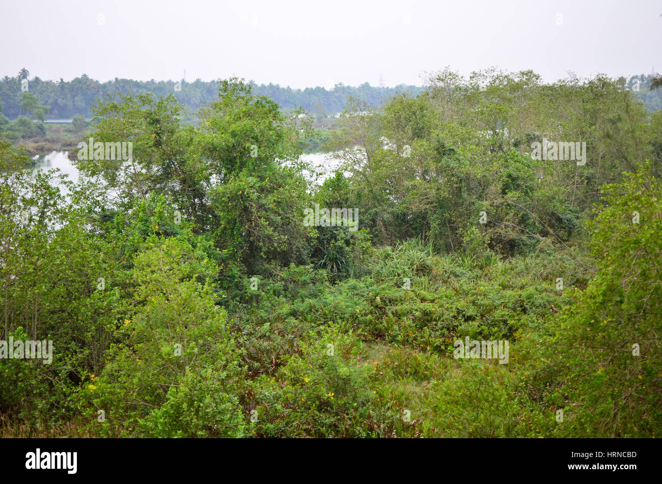 Beautiful landscape of rural India. Scene captured during a train ...
