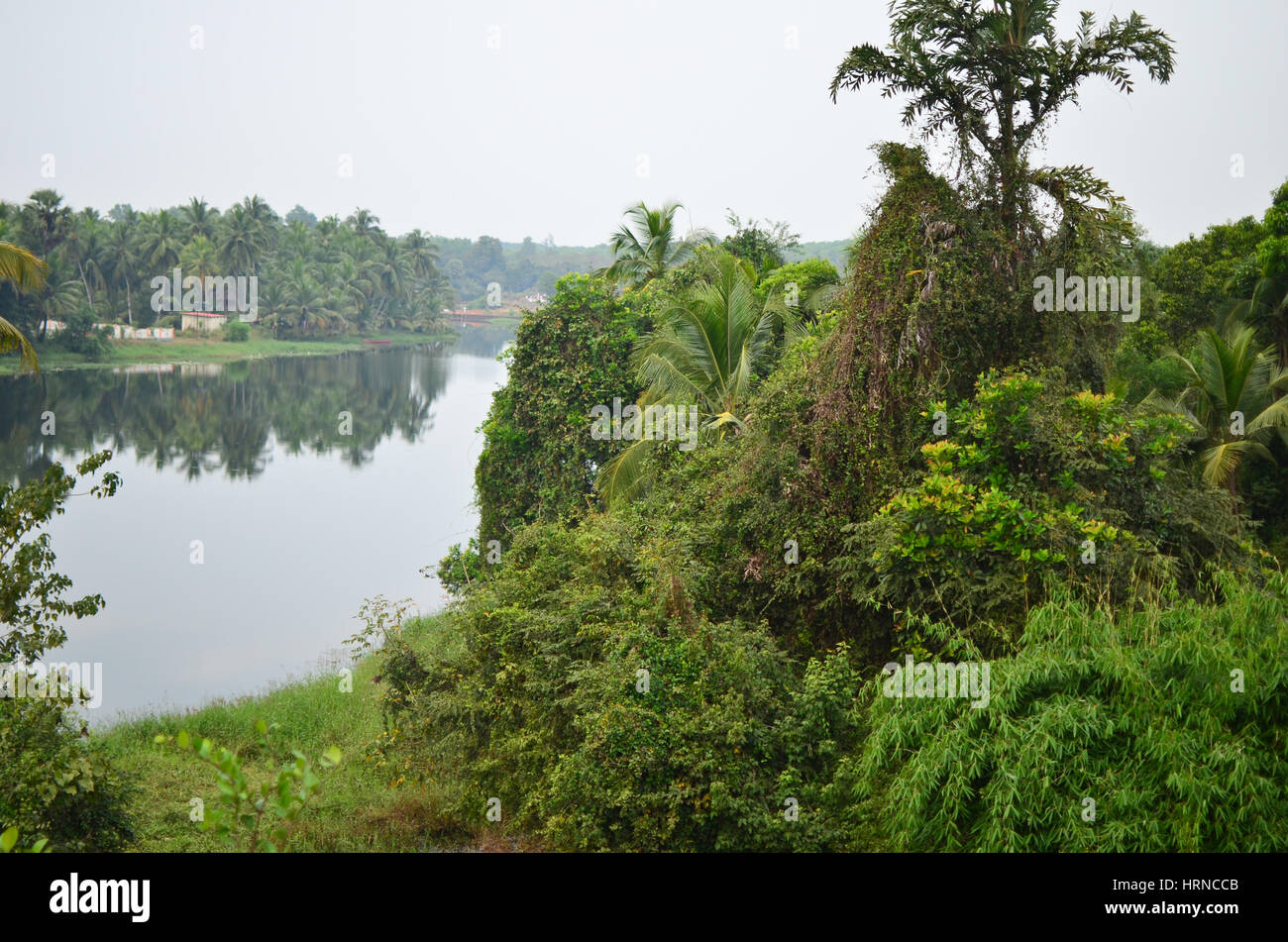 Beautiful landscape of rural India. Scene captured during a train ...