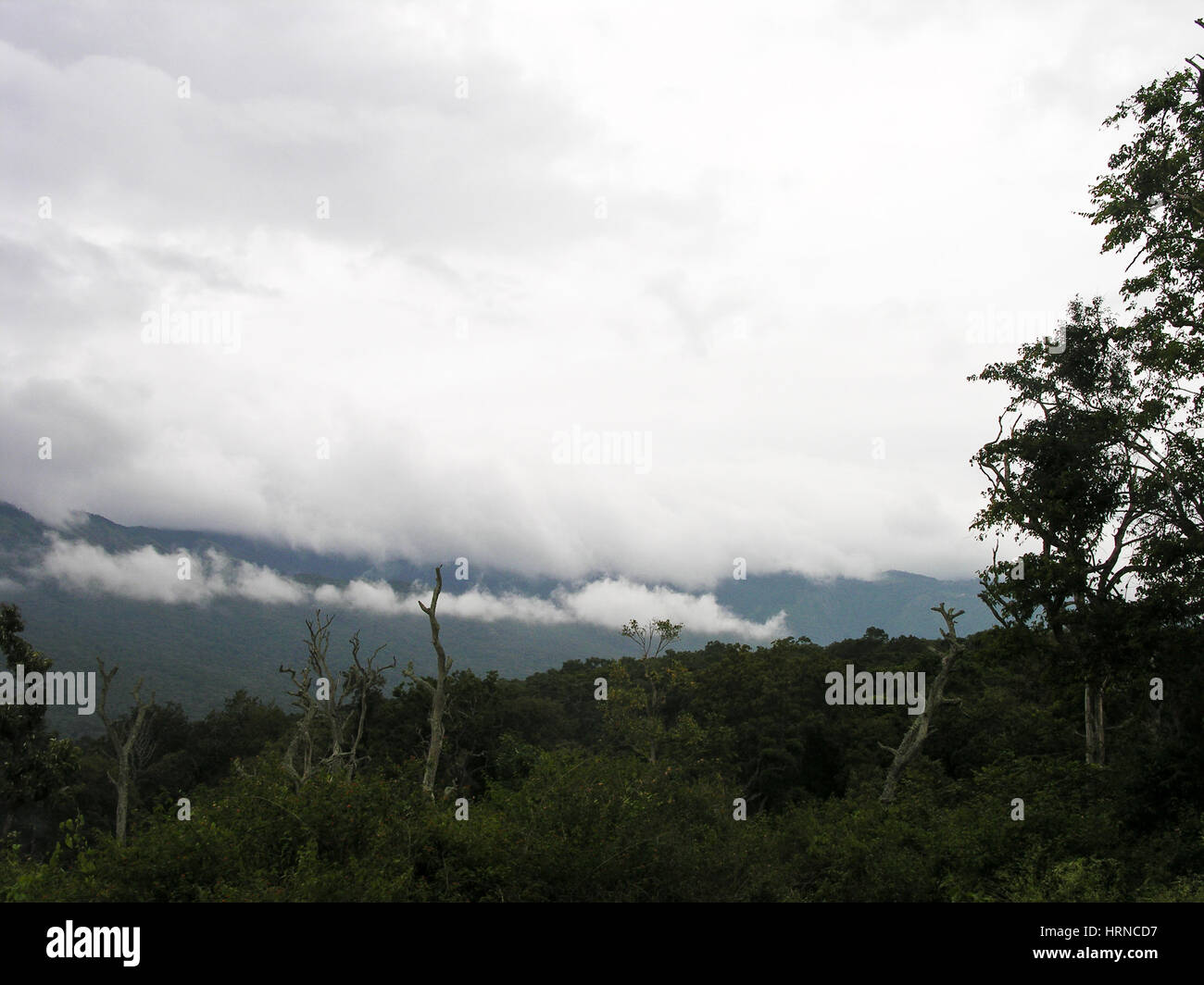 Scenic beauty of Bandiput National Reserve Forest with Neelagiri ...