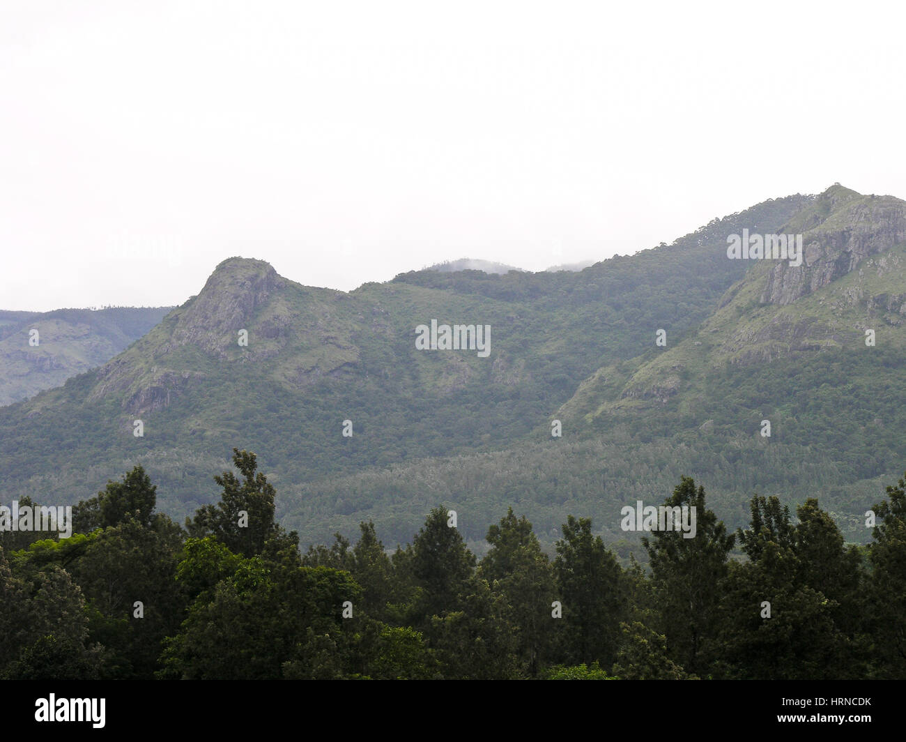 Scenic beauty of Bandiput National Reserve Forest with Neelagiri ...