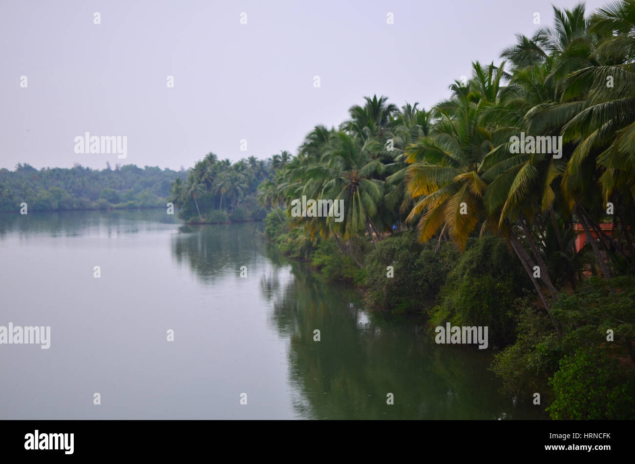 Beautiful landscape of rural India. Scene captured during a train ...